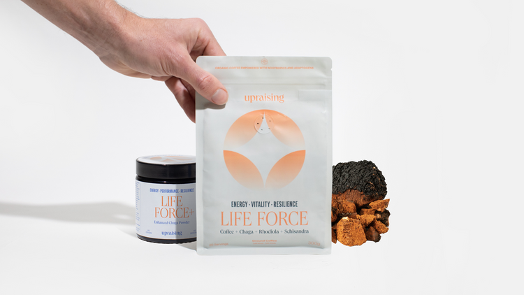 The Role of Functional Mushrooms in Pre- and Post-Workout Nutrition ...