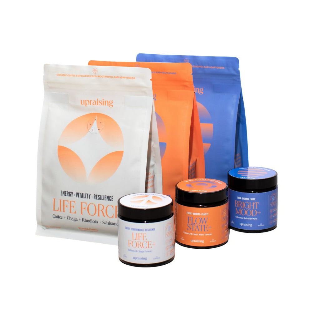 The Role of Functional Mushrooms in Pre- and Post-Workout Nutrition ...