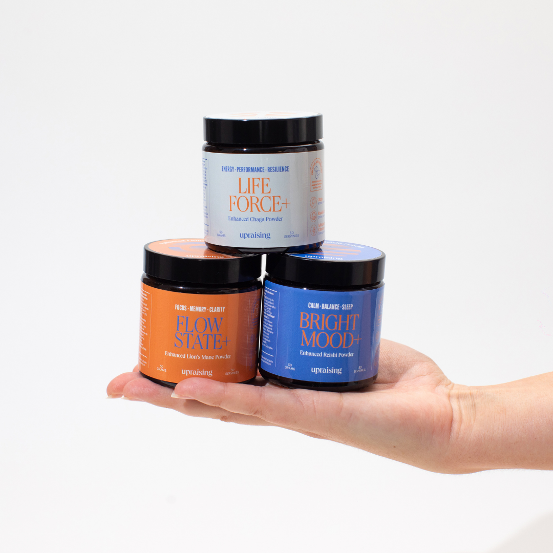 Mushroom Powders enhanced with Adaptogens and nootropics | Upraising