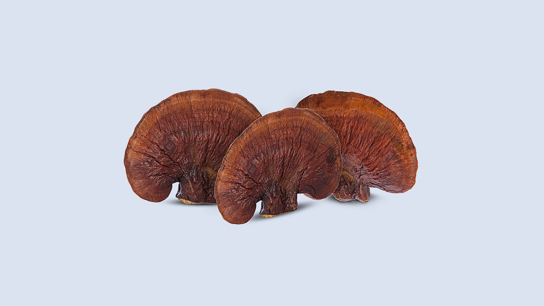 Reishi mushroom: Benefits with Coffee - Ganoderma | Upraising ...